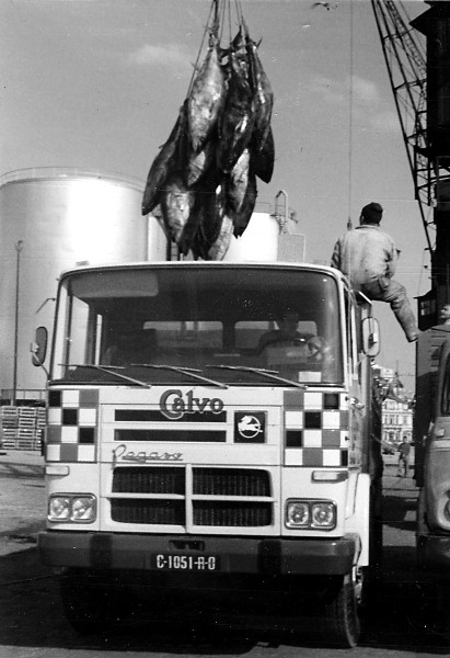 Calvo, un brand cu o istorie de peste 100 de ani - La Bucatarie